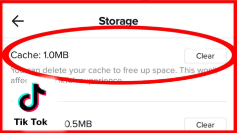 Helpful Tips to Fix Issue; "Tiktok Verification Code Not Working" - NextdoorSEC - Penetration ...