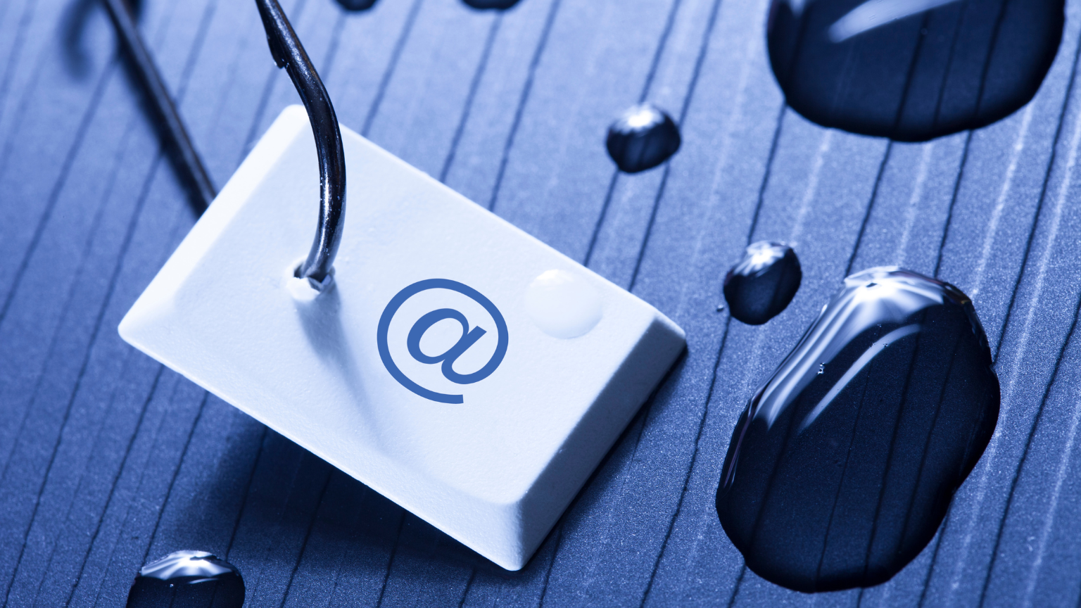 How to Check Links for Phishing Scams: Expert Tips for Effortless ...