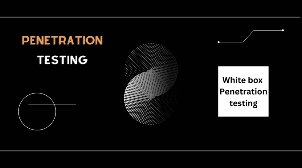 White vs Black vs Gray Box Penetration Testing - NextdoorSEC ...